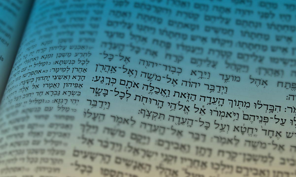 truth-seekers-fellowship-hebrewtext – Truth Seekers Fellowship