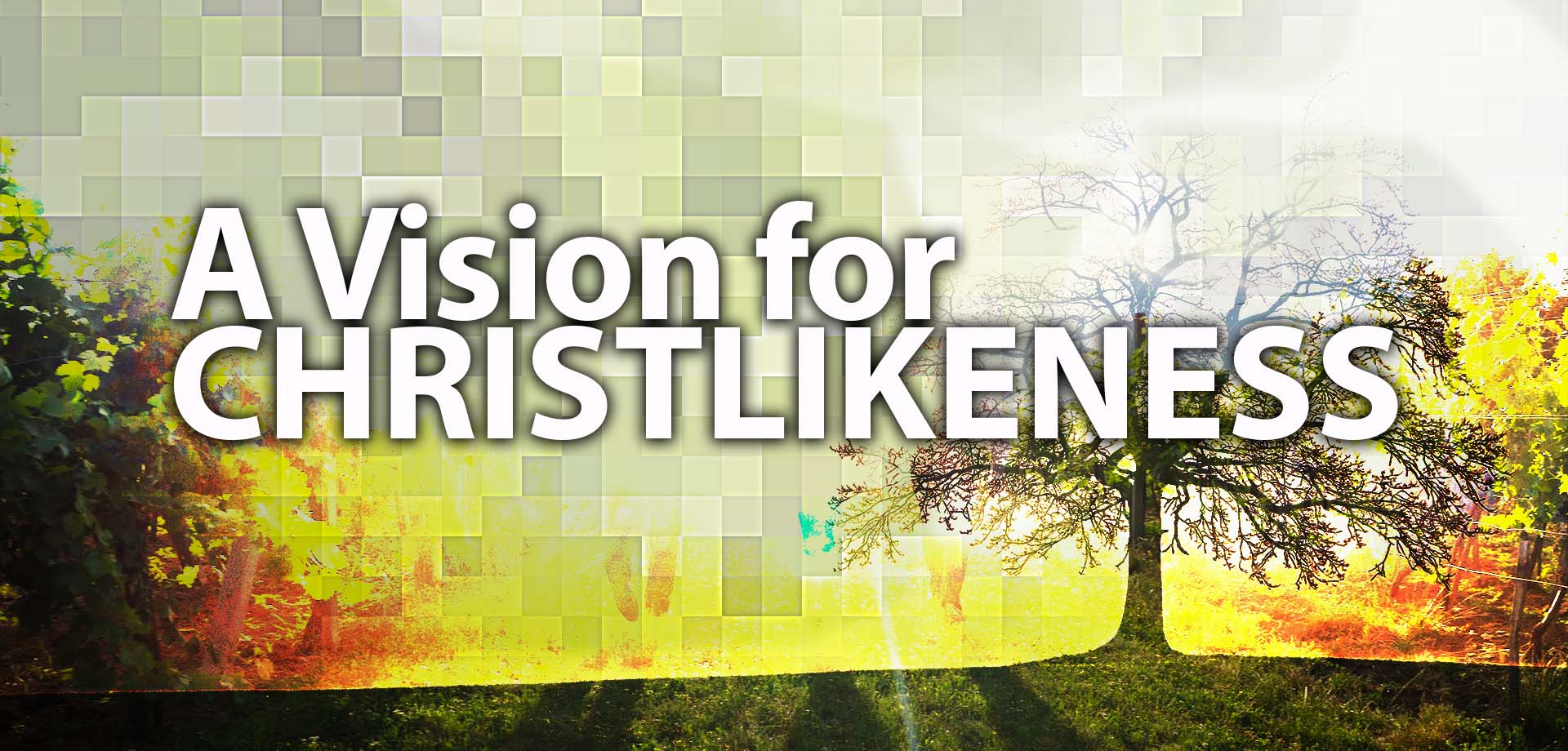 A Vision for Christlikeness – Truth Seekers Fellowship
