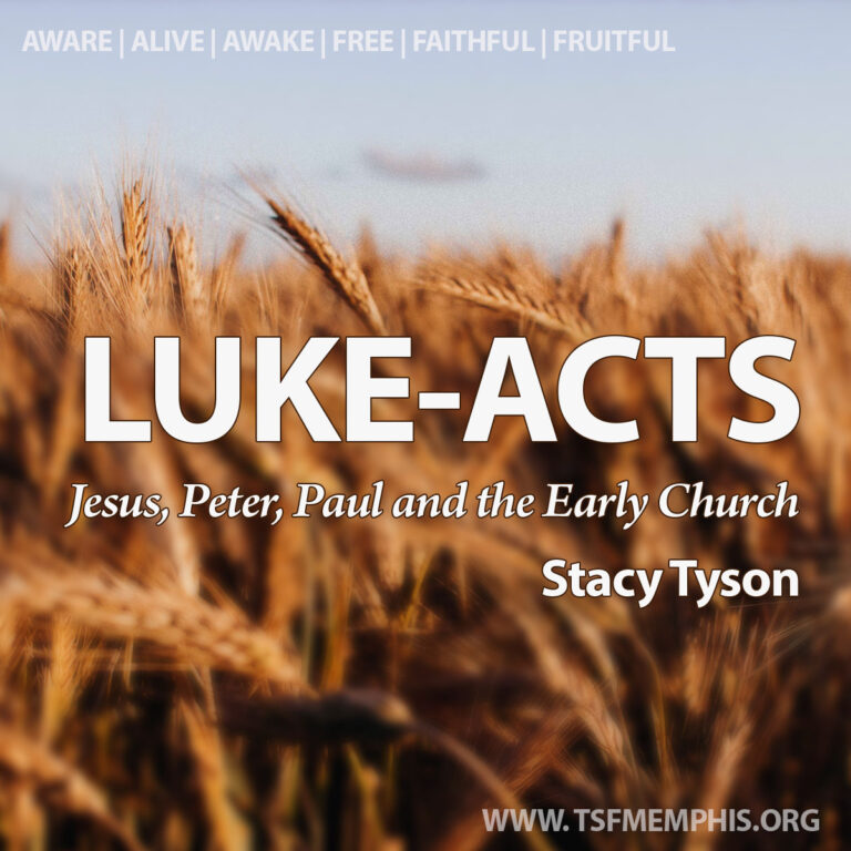 Luke-Acts 02 | 1:5-56 – Truth Seekers Fellowship