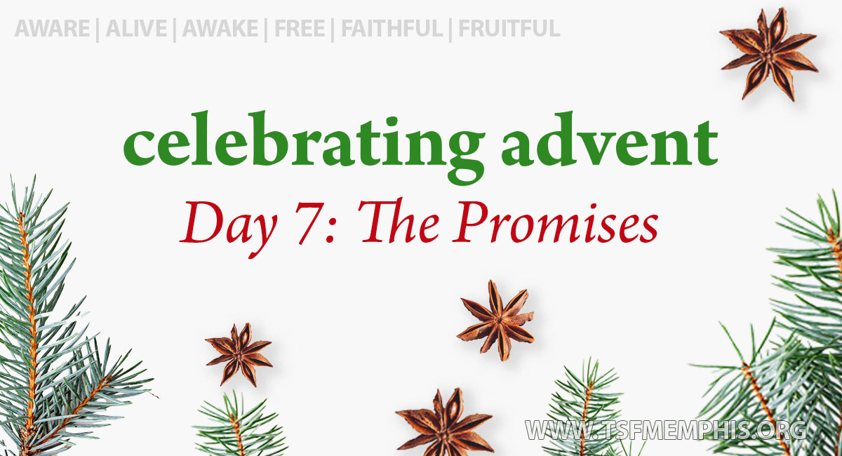 Advent Day 07: The Promises to Abraham – Truth Seekers Fellowship