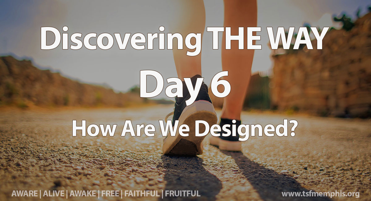 Day 006: How Are We Designed? – Truth Seekers Fellowship